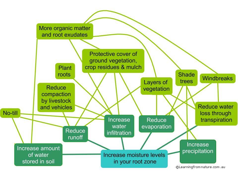 Best way to drought-proof your farm - Learning from Nature